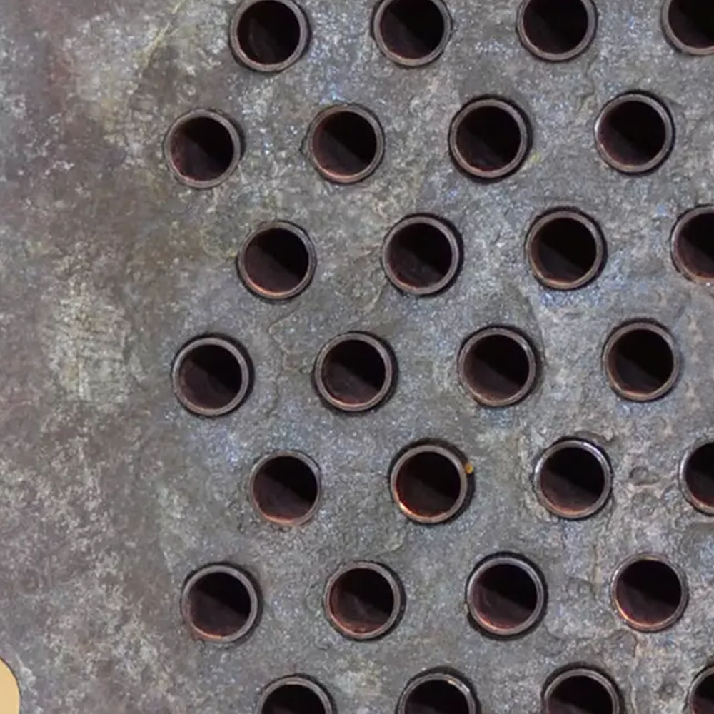 Rydlyme Marine FB - SOLVERBio