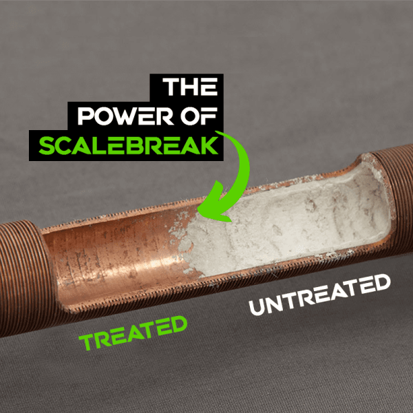 *ScaleBreak – Goodway* - SOLVERBio