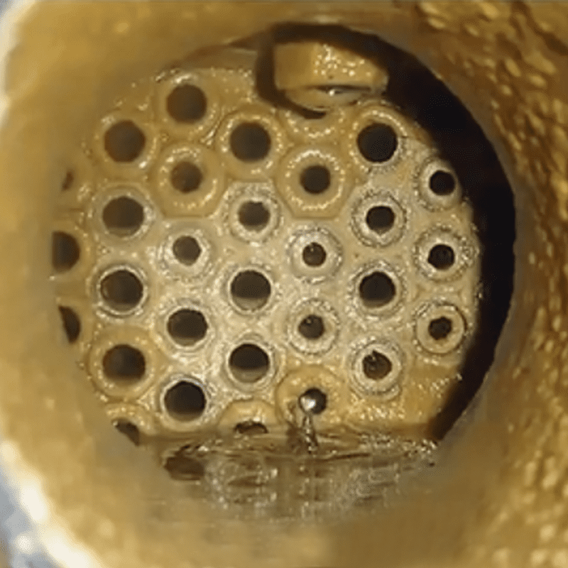 ScaleBreak Marine – Goodway - SOLVERBio